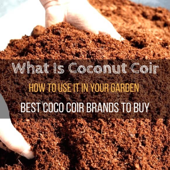 What Is Coco Coir & How To Use It In Your Garden | UrbanOrganicYield.com
