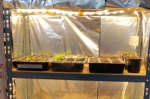 Diy Grow Tent: 12 Easy Yet Inexpensive Grow Box Ideas You Can Build
