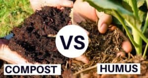 Potting Soil Vs Garden Soil: What's the Difference? and When to Use Each