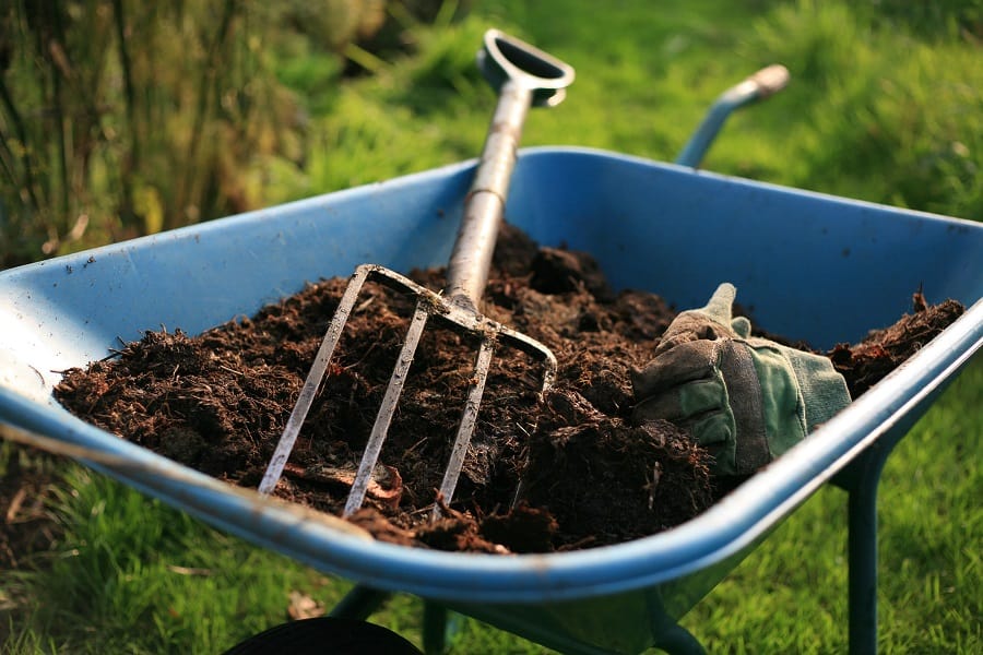Humus Vs Compost What's The Difference? And Which Is Better?