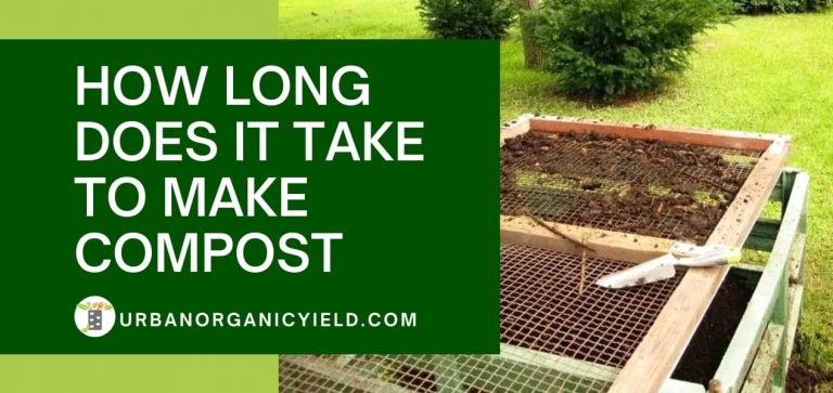 How Long Does It Take To Make Compost And How To Make It Faster?
