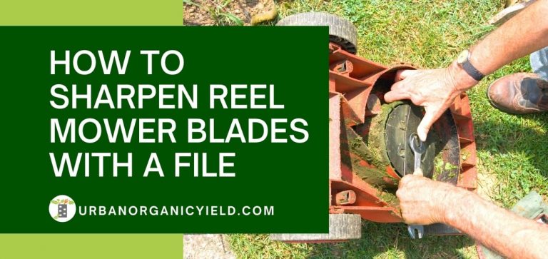 How To Sharpen Reel Mower Blades Using File & Sharpening Compound