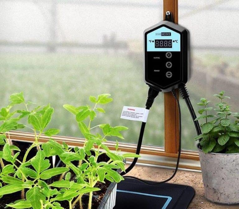 4 Best Seedling Heat Mats With Thermostat For Germination