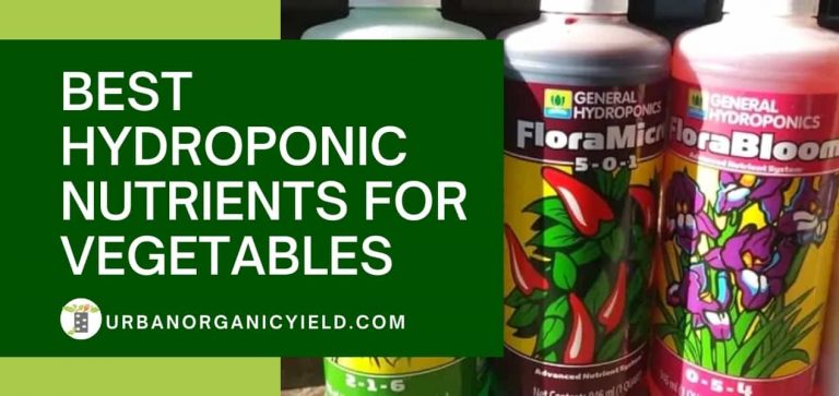 Best Hydroponic Nutrients For Vegetables