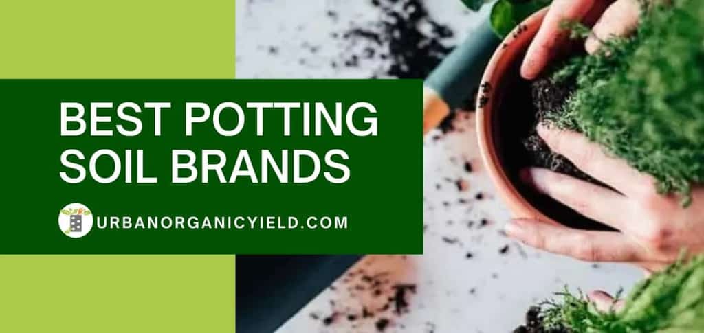 Rapid Rooter Starter Plugs To Germinate Plant Seedlings ...