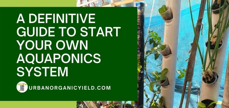 What Is Aquaponics Gardening? | UrbanOrganicYield.com