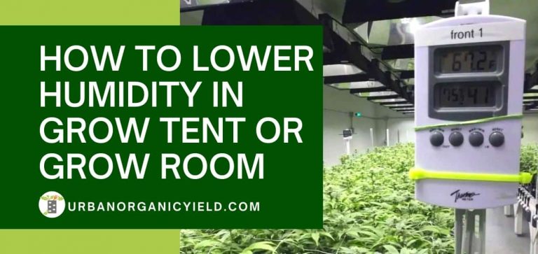 How To Lower Humidity In Grow Tent Or Grow Room