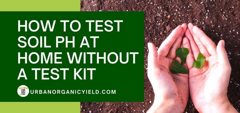 How To Test Soil PH At Home Without A Test Kit