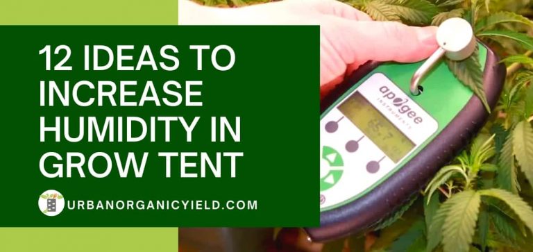 12 Ideas On How To Increase Humidity In Grow Tent
