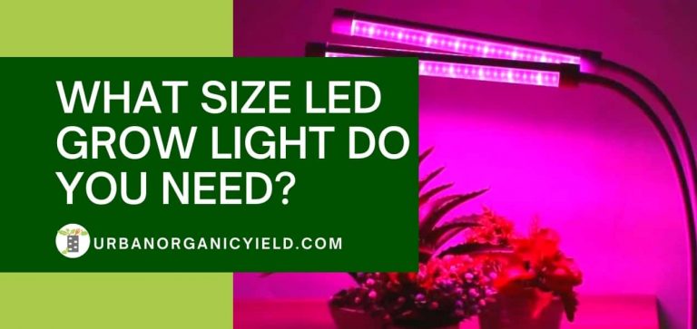 15 Easy Yet Inexpensive DIY Led Grow Light Ideas For Indoor Growing