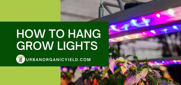 15 Easy Yet Inexpensive DIY Led Grow Light Ideas For Indoor Growing