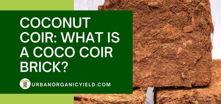 Coco Bricks: How To Use Coconut Coir In Gardening | UrbanOrganicYield.com
