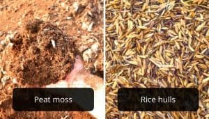 How To Use Rice Hulls For Gardening | UrbanOrganicYield.com