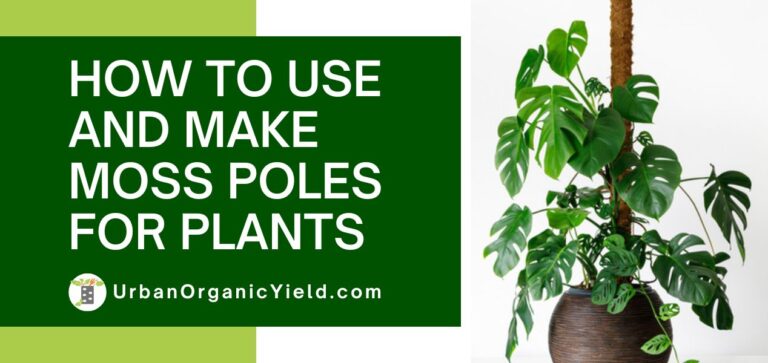 How To Make And Use Moss Poles For Plants | UrbanOrganicYield.com